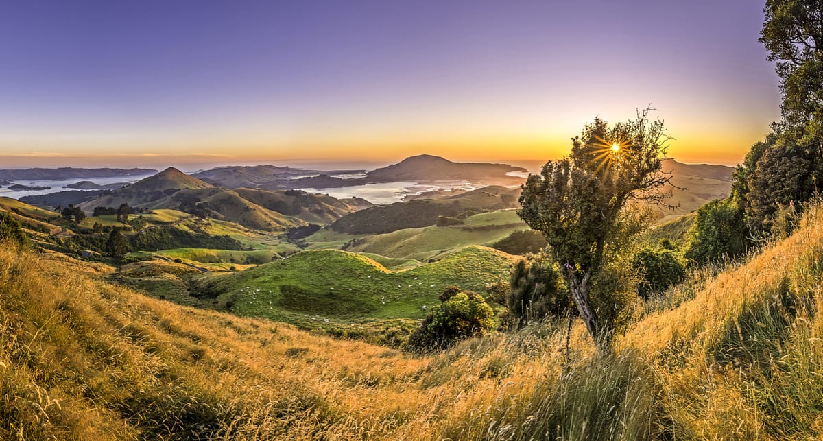 Những điều cần làm trong Dunedin & Bán đảo Otago 2024 | Pelago của ...
