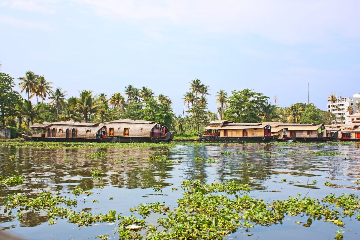 Things to do in Kochi, Kerala 2025 | Pelago by Singapore Airlines