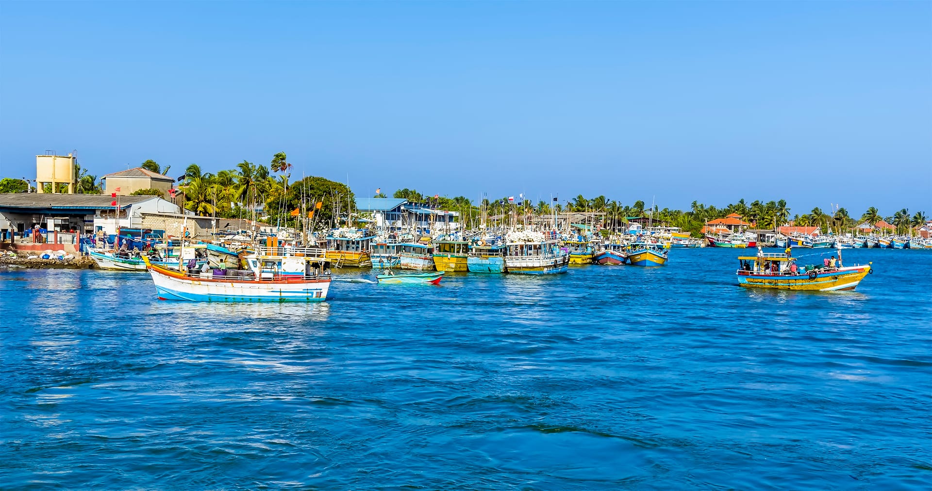 Your Ultimate Guide To Negombo Beaches In Sri Lanka
