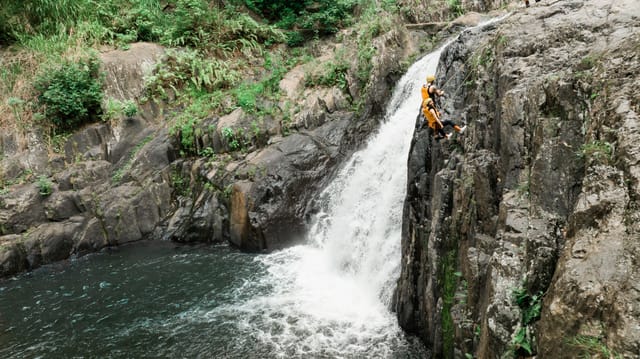 Behana Gorge Rainforest Canyoning Tour from Cairns in Cairns | Pelago