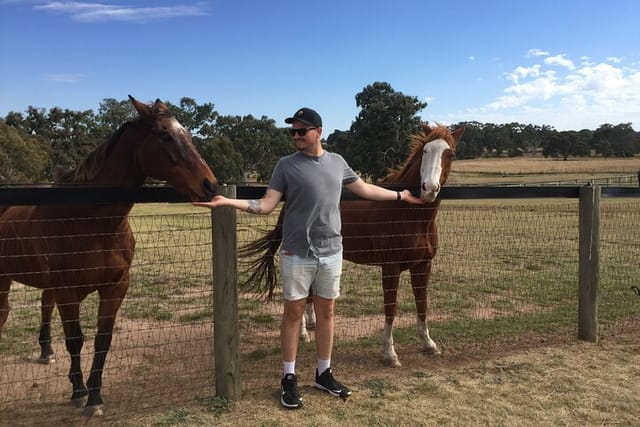 Champion Racehorse Tour with Beer and Wine Tasting in Melbourne | Pelago