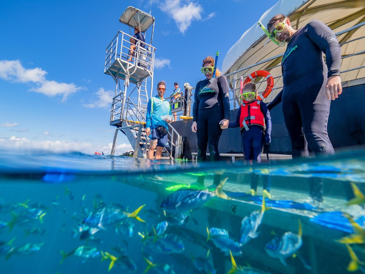 Heart Pontoon Great Barrier Reef Express Departing Port of Airlie in ...