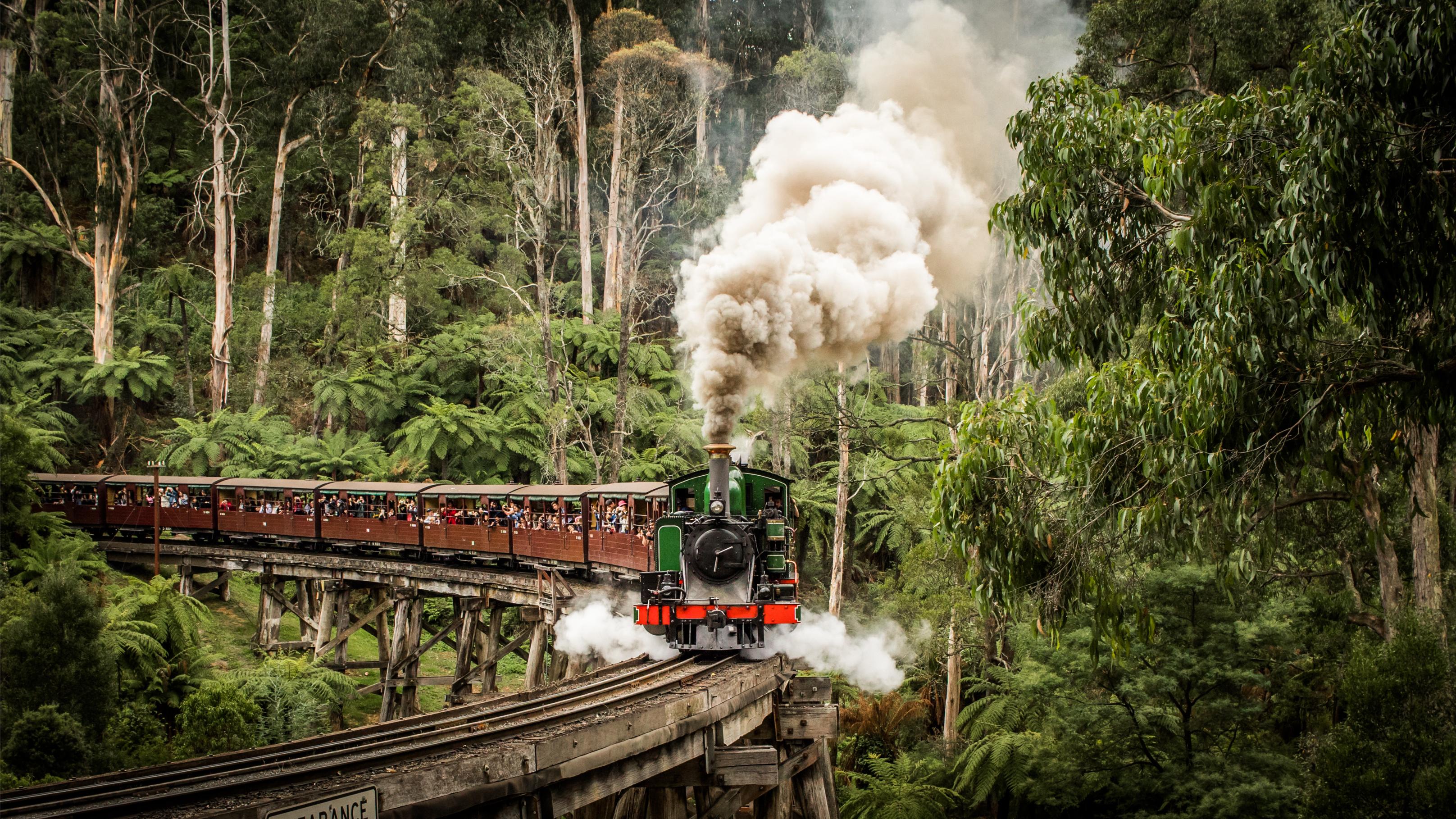(14 Pax Luxury Mercedes Mini Bus) Melbourne Puffing Billy Steam Railway & Penguin Parade & Koala ...