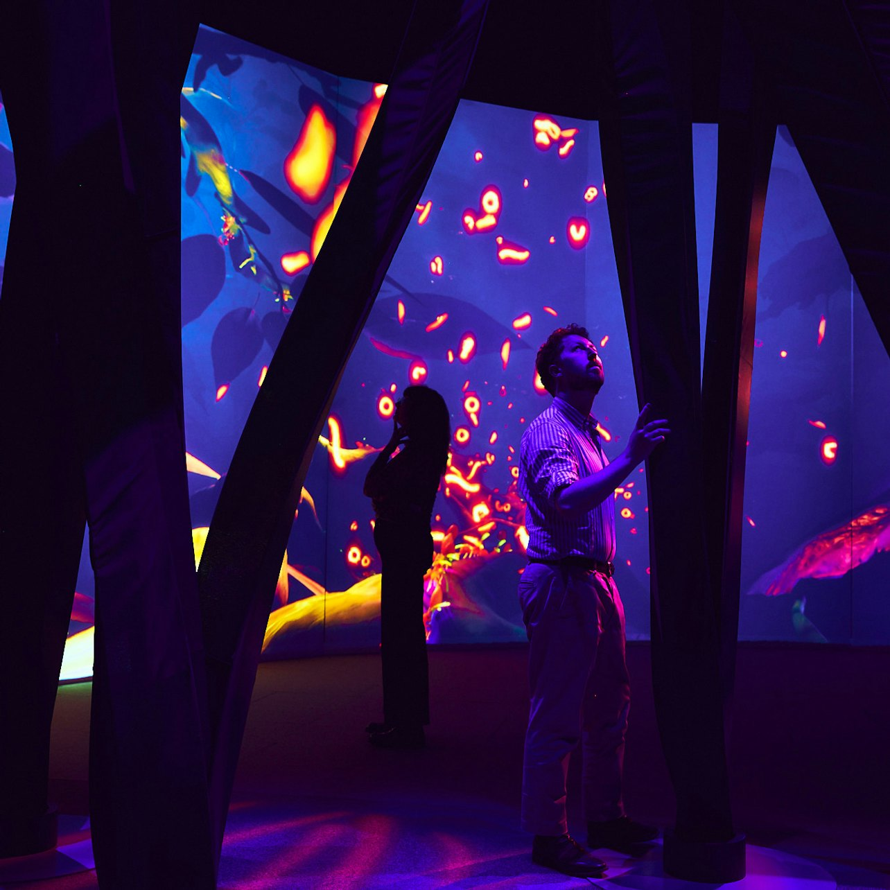 Melbourne Museum: Skip the Line Ticket for 'Antopia' Exhibition in ...