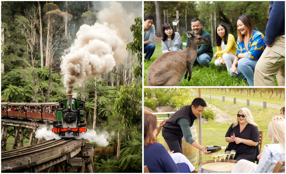 Puffing Billy Steam Railway, Healesville Wildlife Sanctuary, Yarra Valley Winery, and Rainbow ...