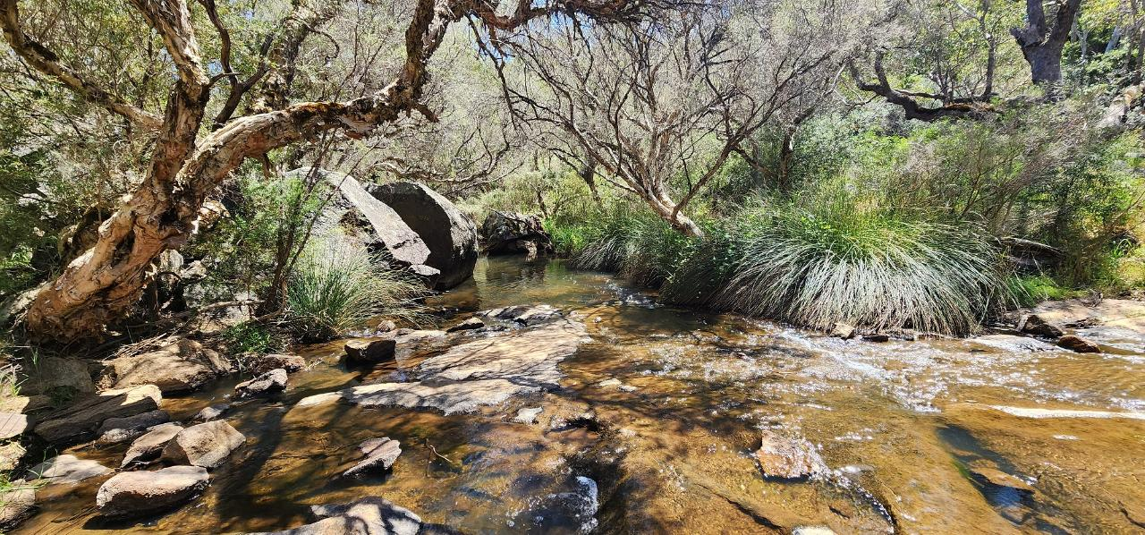 퍼스의 Roley Pools Beginners Hike | Pelago