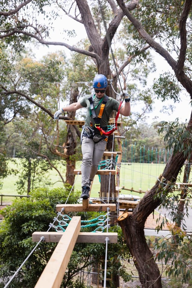 시드니의 Treetops Adventure St Ives Standard Session (2.5hr) | Pelago