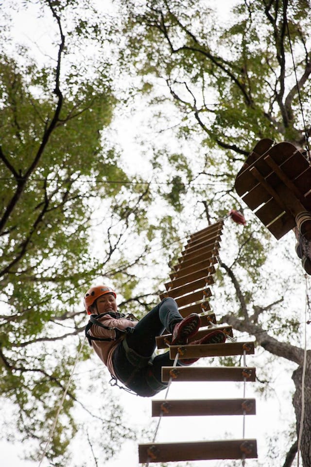 Treetop Adventures Dwellingup: 2.5hr Session in Perth | Pelago