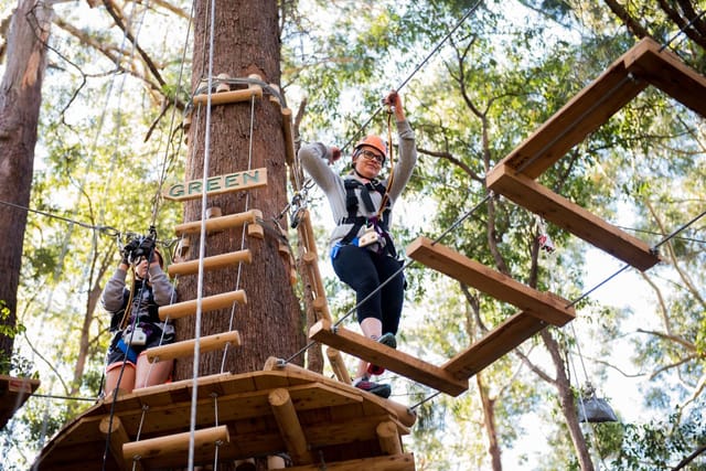 Treetops Adventure Yanchep Standard Session (2.5hrs) in Perth | Pelago