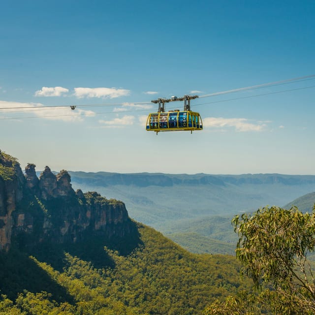 Ultimate Blue Mountains, Scenic World, Lunch, Falls, Ferry, Zoo and ...