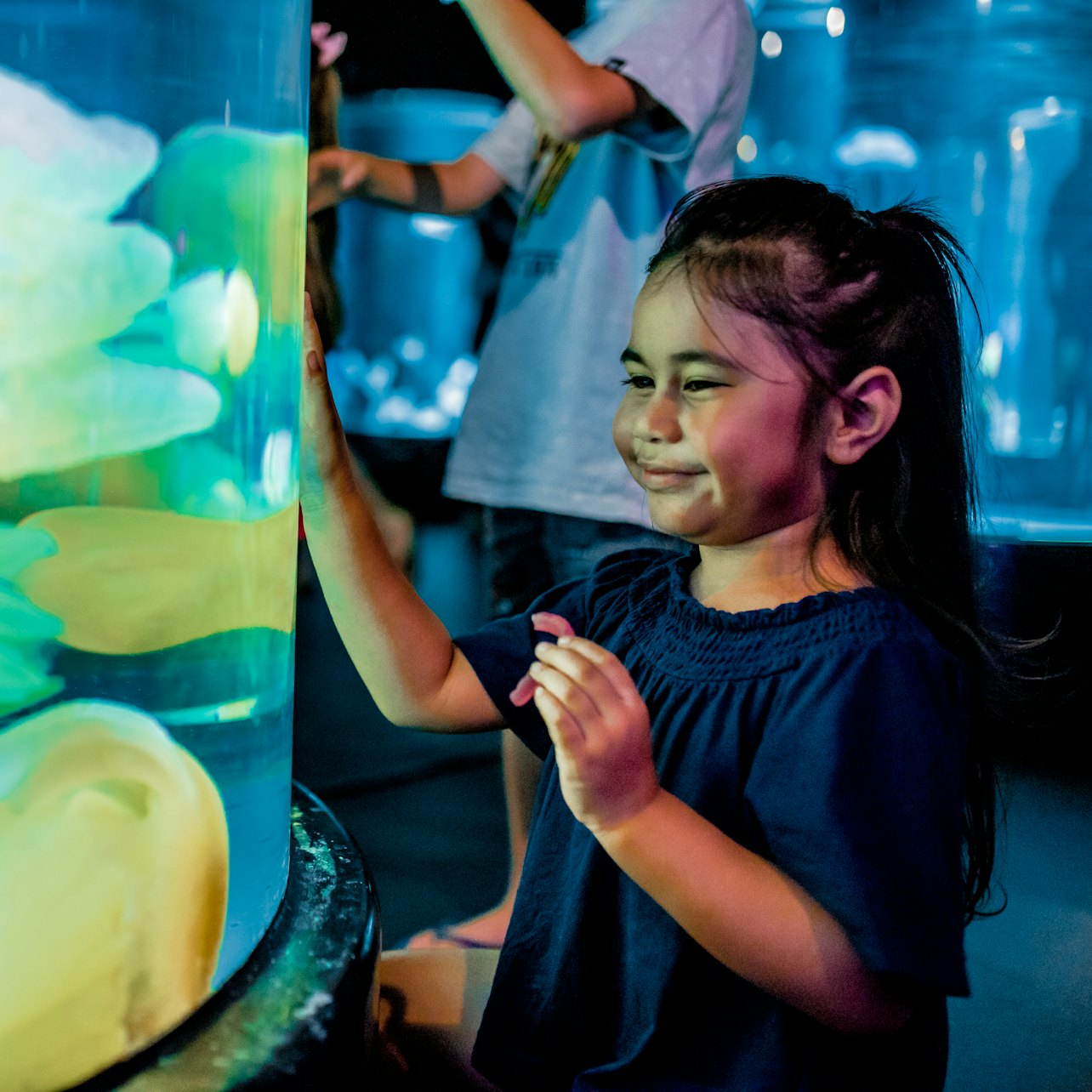 시드니의 Ultimate Sydney Pass | Pelago