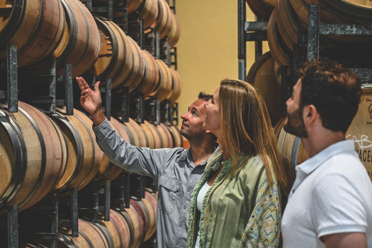 Unearth Voyager: Immersive Private Tour of Voyager Estate in Margaret ...