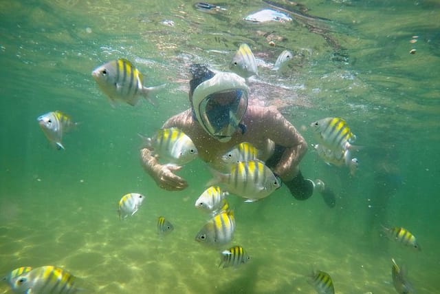 Easy Diving - Lord Beach Snorkeling - Leaving Forte Beach by Emytour in ...