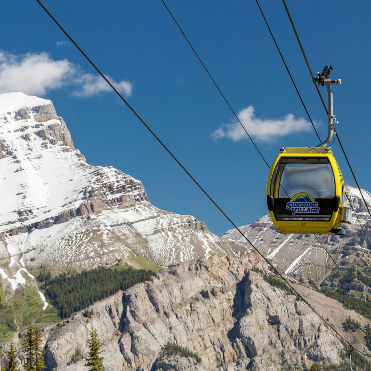 Banff Sunshine Sightseeing Gondola & Chairlift in Banff | Pelago