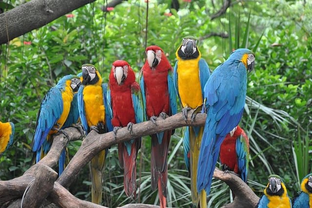 Day Tour to Admire the Panorama of Gulangyu Island and Visit the ...