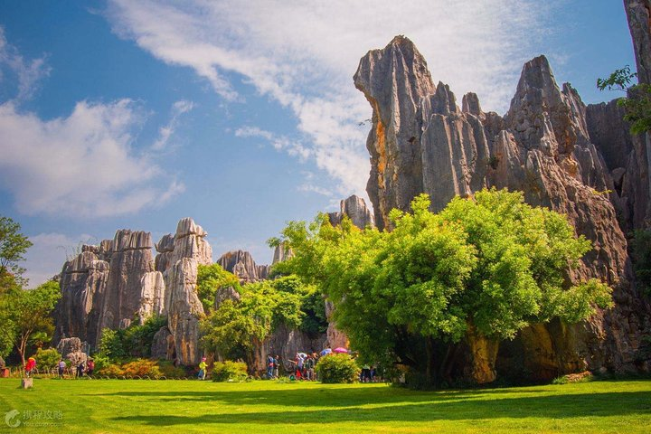 The Stone Forest Facts