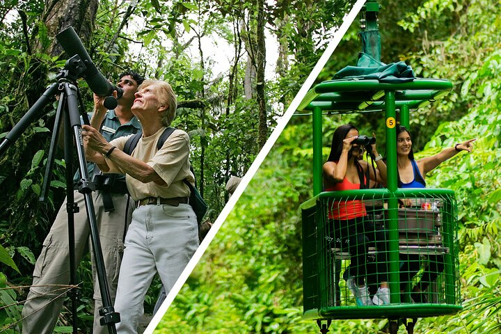 Rainforest Aerial Tram Half Day Pass – Braulio Carrillo Park in ...