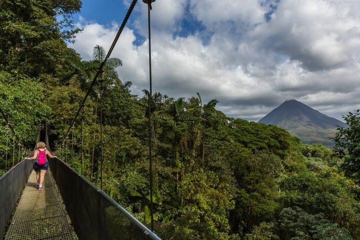라 포르투나의 Arenal Hanging Bridges with Professional Guide | Pelago