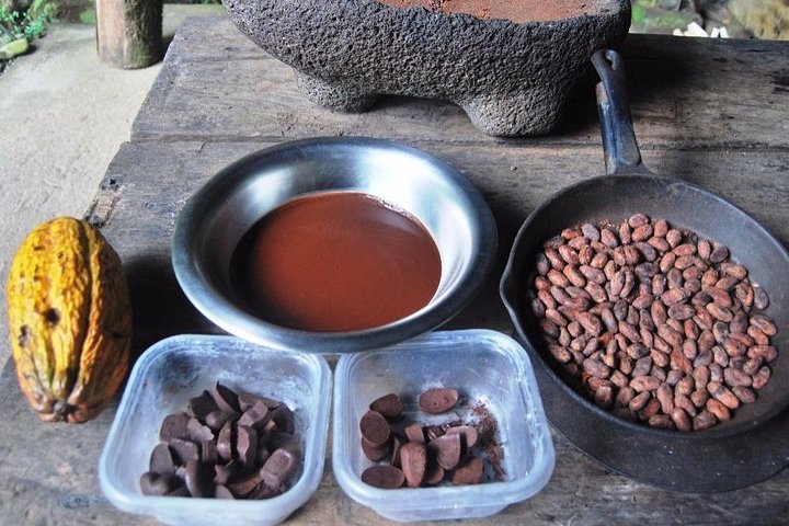 Chocolate tour in indigenous area BriBri & Cahuita National Park in ...