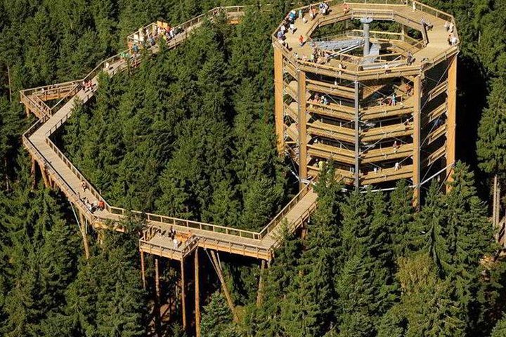Tree Top Trail in National Park and Off-road Scooters: Adventure ...