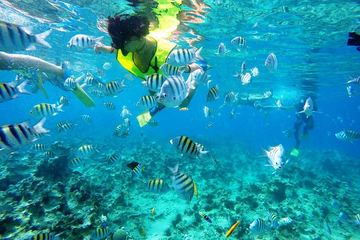 푸에르토 플라타의 Puerto Plata Shore Excursion, Snorkeling tour & Sosua Beach ...