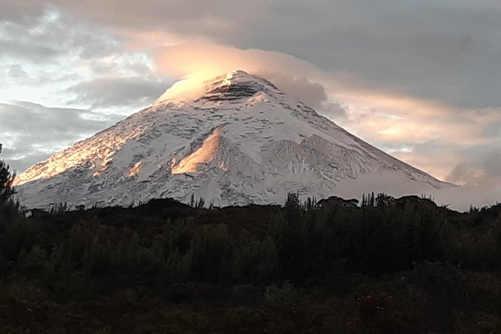 chimborazo cotopaxi