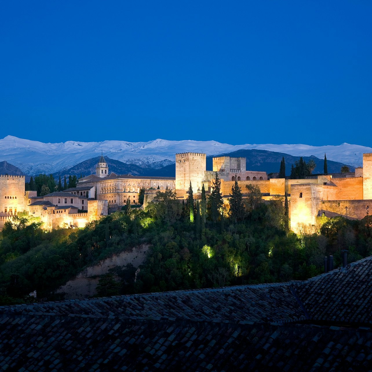 Alhambra & Nasrid Palaces: Skip The Line + Night Tour in Granada | Pelago