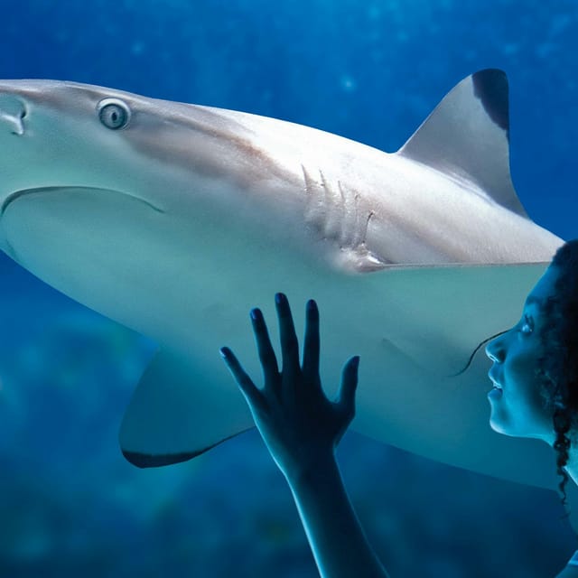 SEA LIFE Paris Aquarium in Serris | Pelago