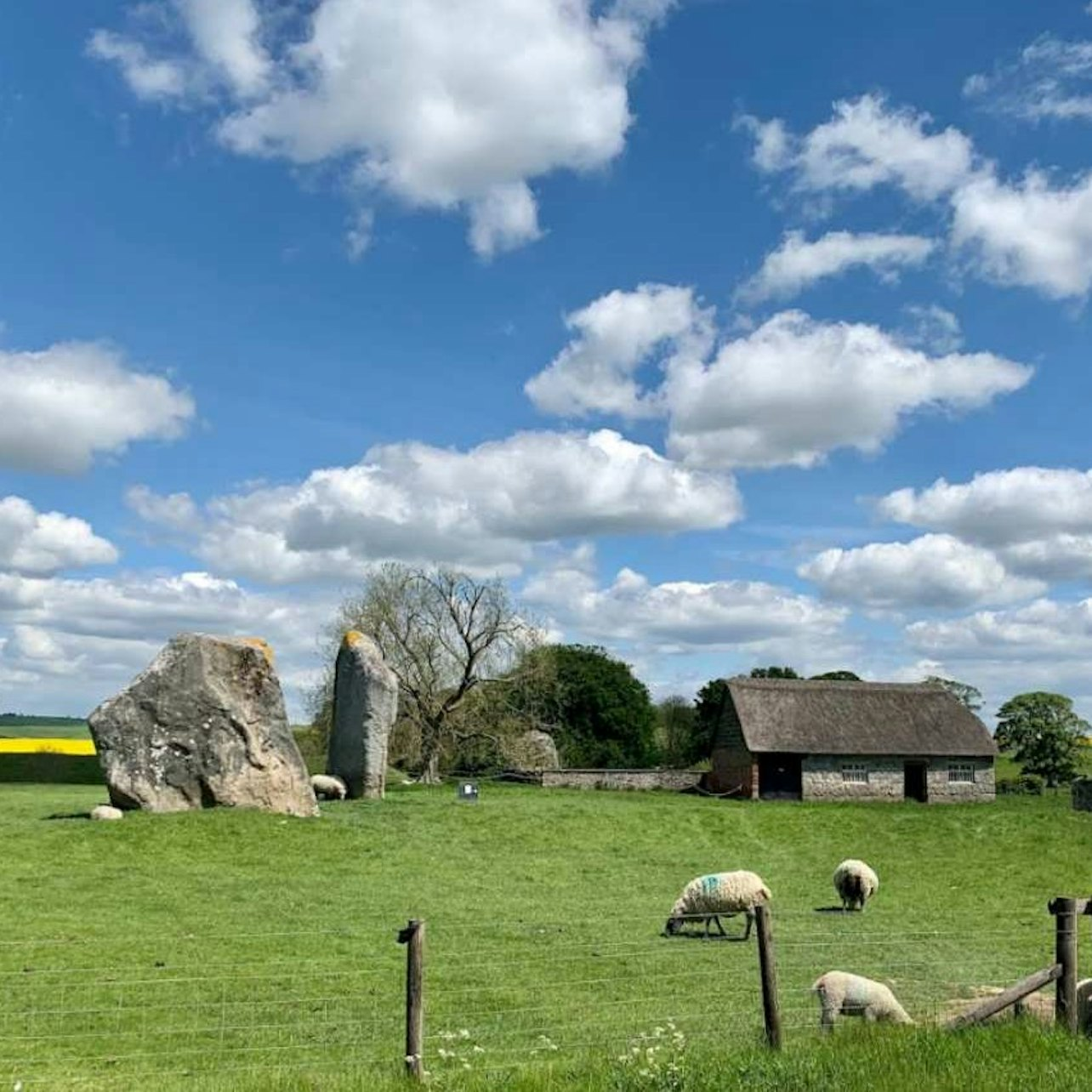 Stonehenge & Stone Circles of Avebury: Guided Day Trip from London in ...
