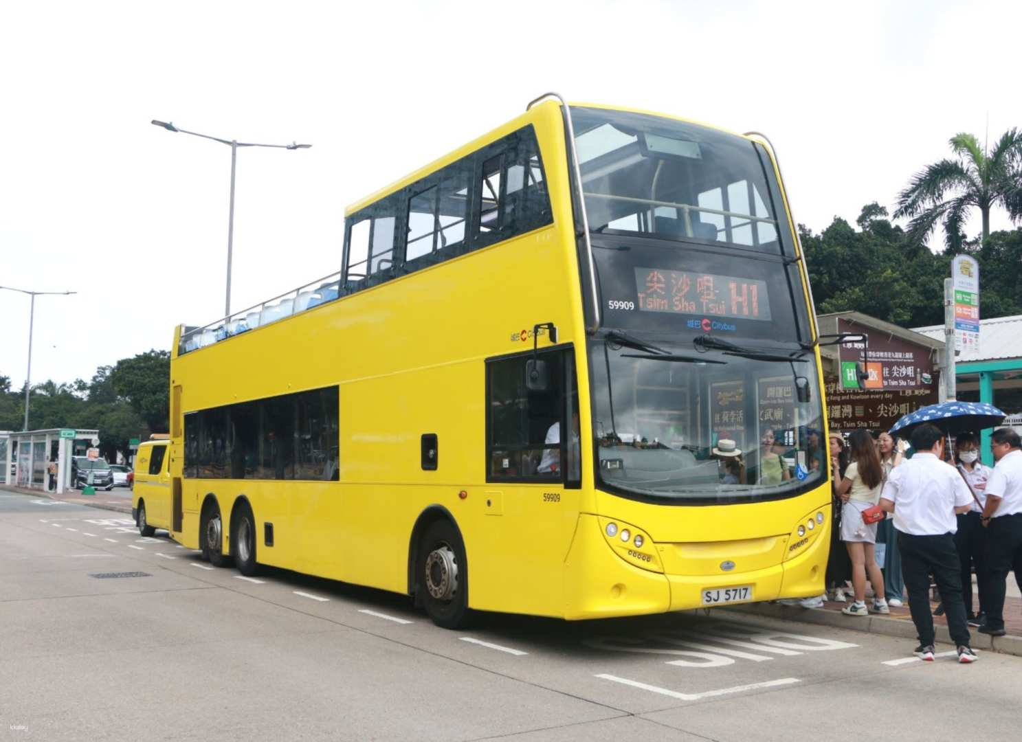 香港的Citybus HK City Sightseeing Bus Day Pass | Pelago