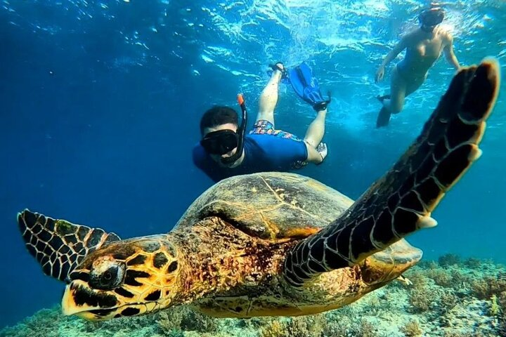 Gili Trawangan Gili Air Snorkeling Tour Turtles Statue In Gili