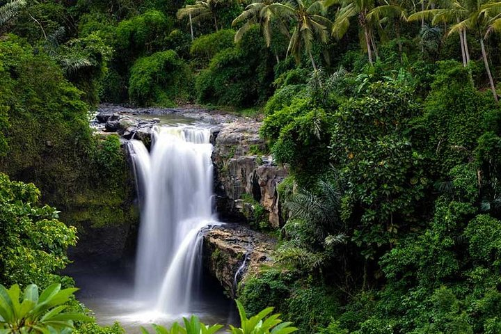 Ubud Waterfall Tour ใน เซมินยัค | Pelago