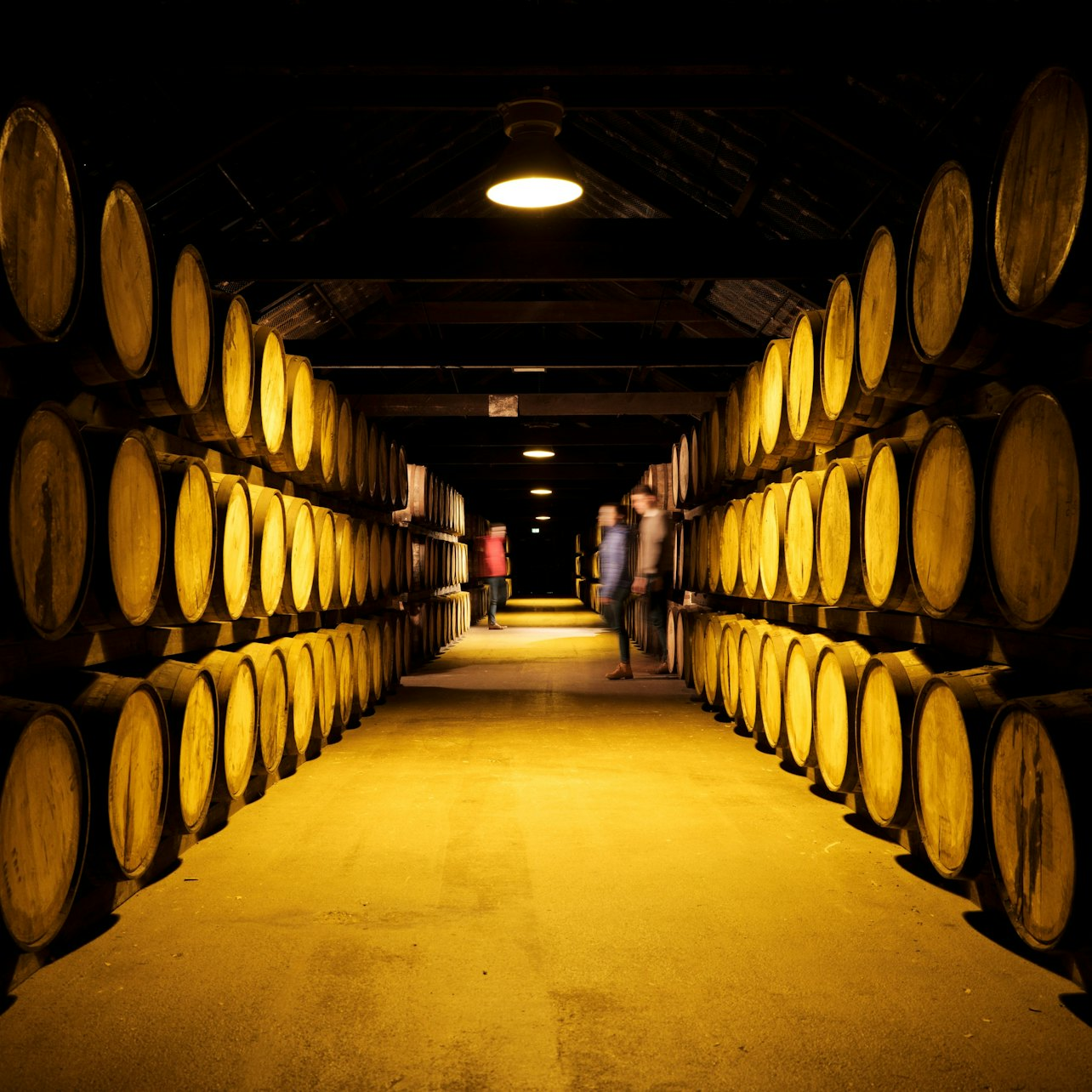 Jameson Midleton Distillery: Behind-the-Scenes Guided Tour in Cork | Pelago