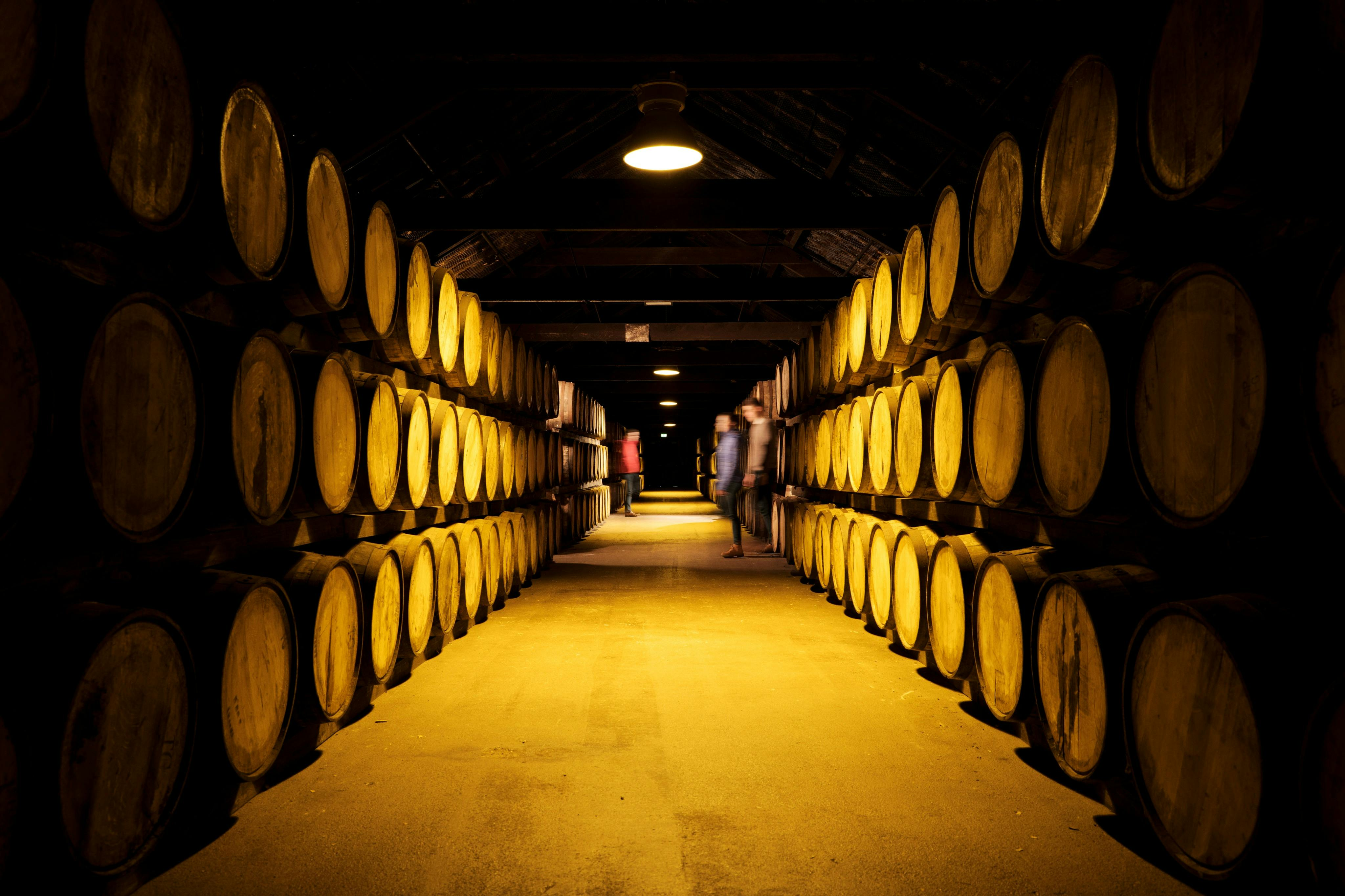 코르크의 Midleton Distillery (Jameson): Behind-the-Scenes Guided Tour | Pelago