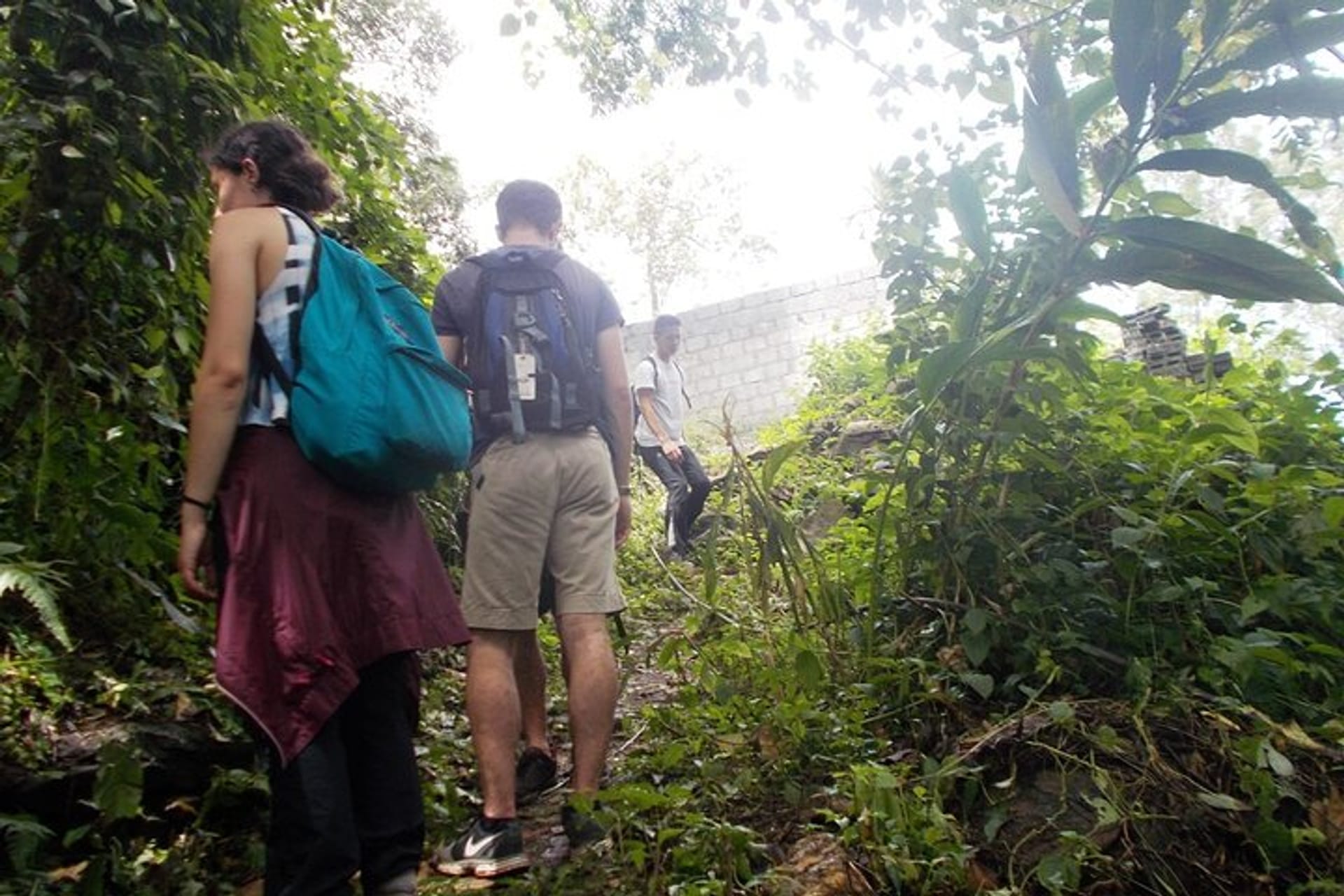 Forest Trekking In Kerala