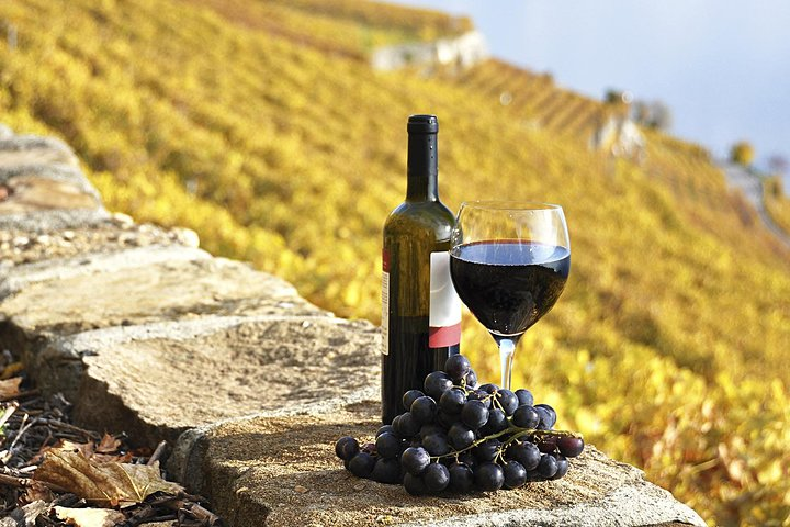 HALF-DAY Tour to Chianti Wine Region: CHIANTI COLORS & FLAVORS in ...