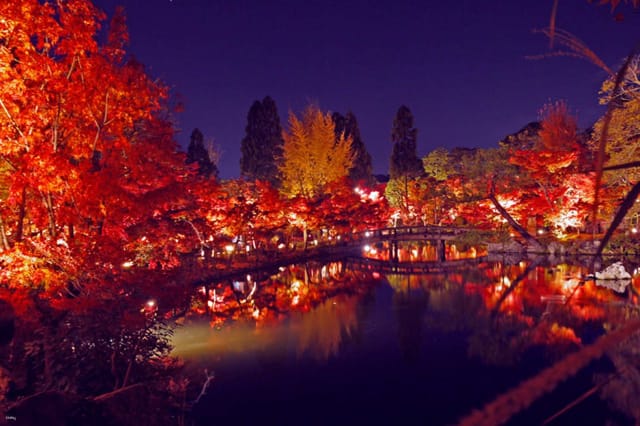 Kyoto Night Maple Tour: Yuzen-en Garden at Chion-in Temple & To-ji ...