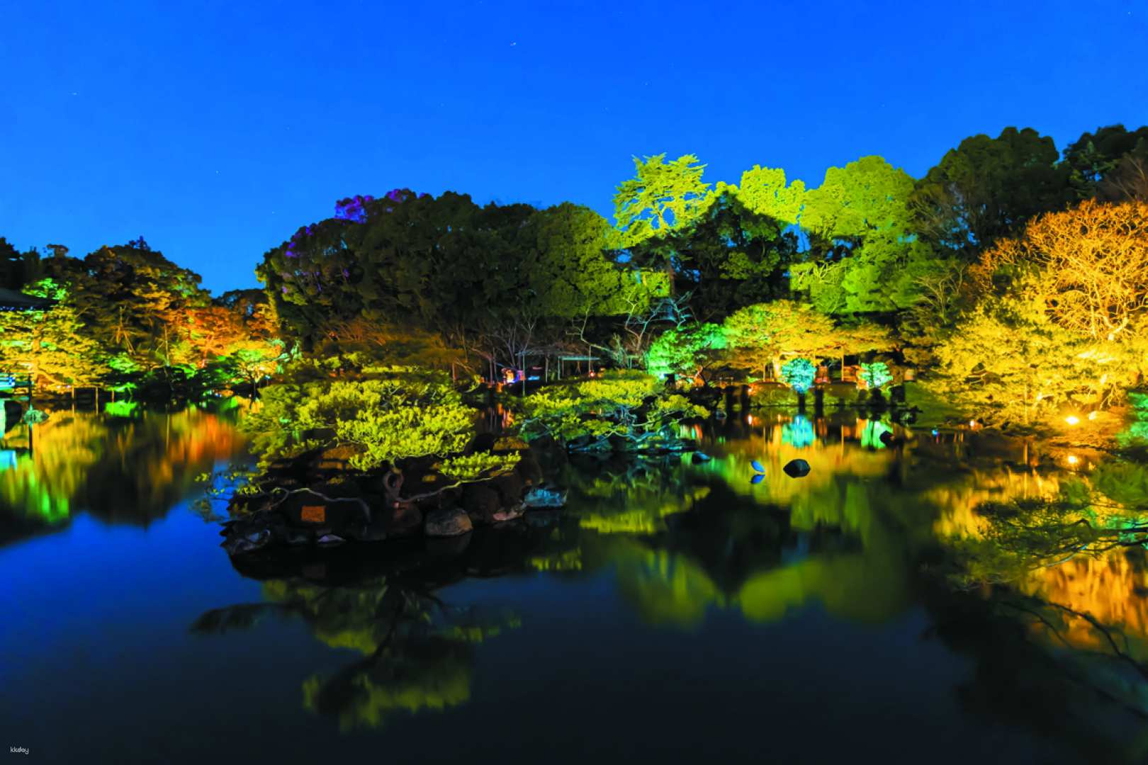 3-day Kyushu tour | Discover new Kyushu: "Special night visit" to the ...