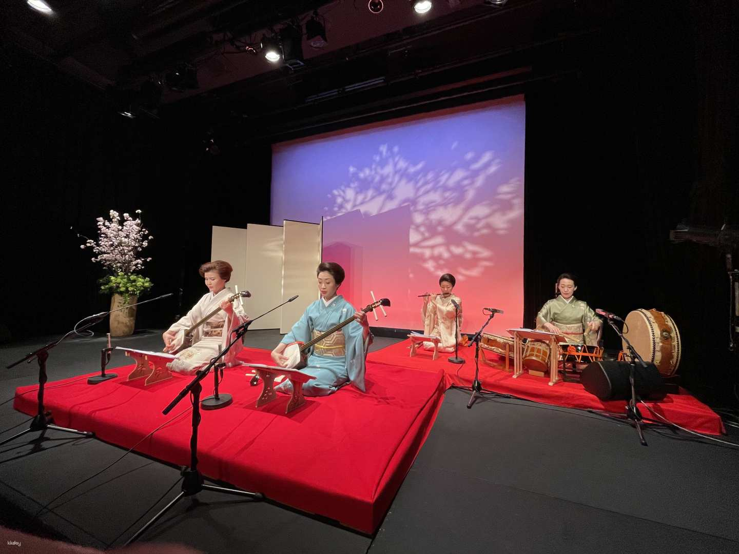 Tokyo Experience the Elegance of Edo :Japanese Traditional Music ...