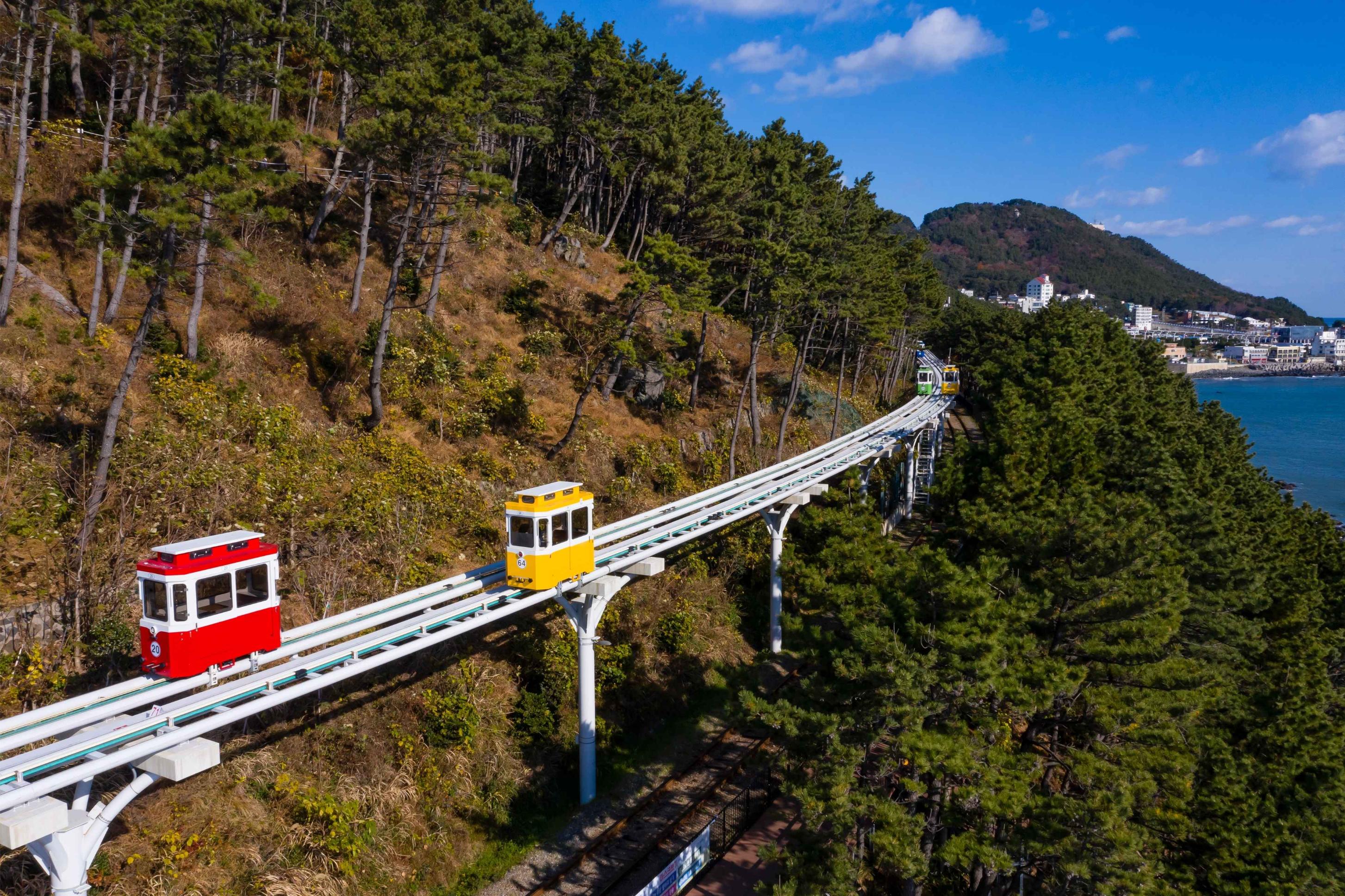Colors of Busan: Sky Capsule, Jagalchi Market & Night View in South ...