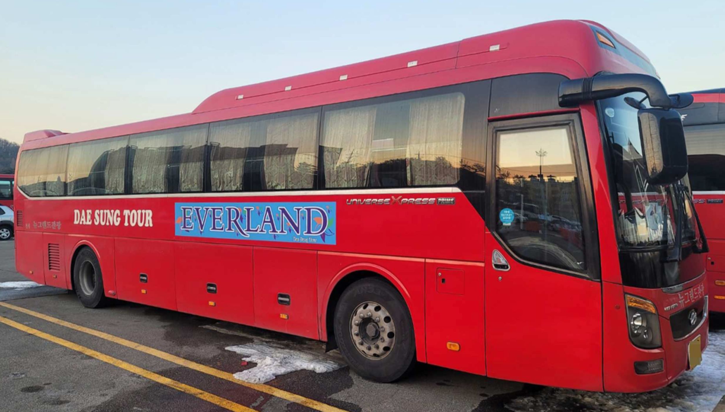 서울의 Everland & Caribbean Bay Round-Trip Shuttle Bus Transfer (Departure ...