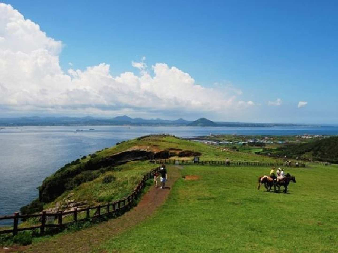 Jeju Island Sightseeing Tour | Udo Island & World Natural Heritage Site ...