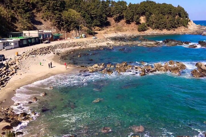 Seaside Uljin Trip in Seoul | Pelago