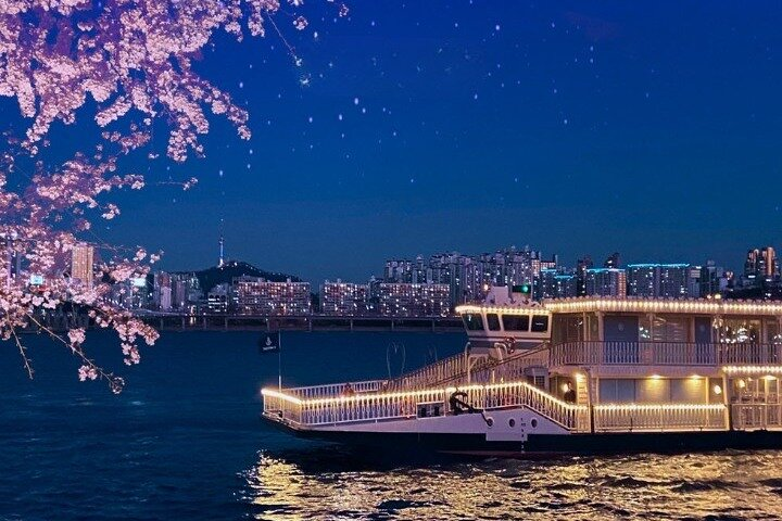 Seoul Han River Night Tour: Picnic, Games & Starlight Cruise in South ...