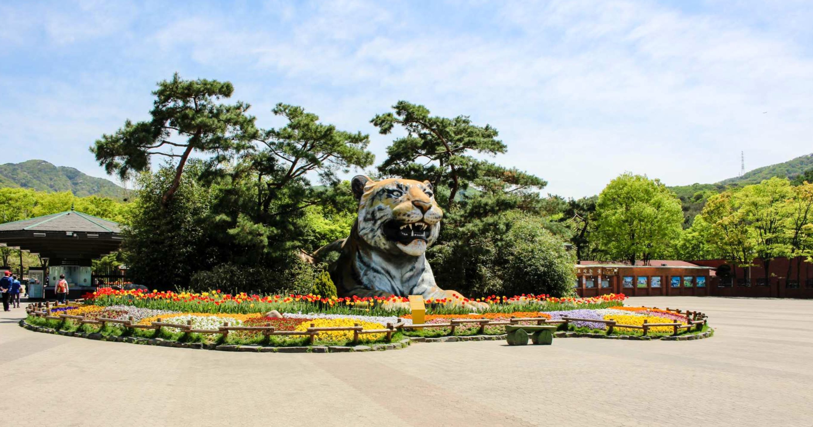 Seoul Grand Park Ticket Package | Zoo Ticket & Sky Lift in Seoul | Pelago
