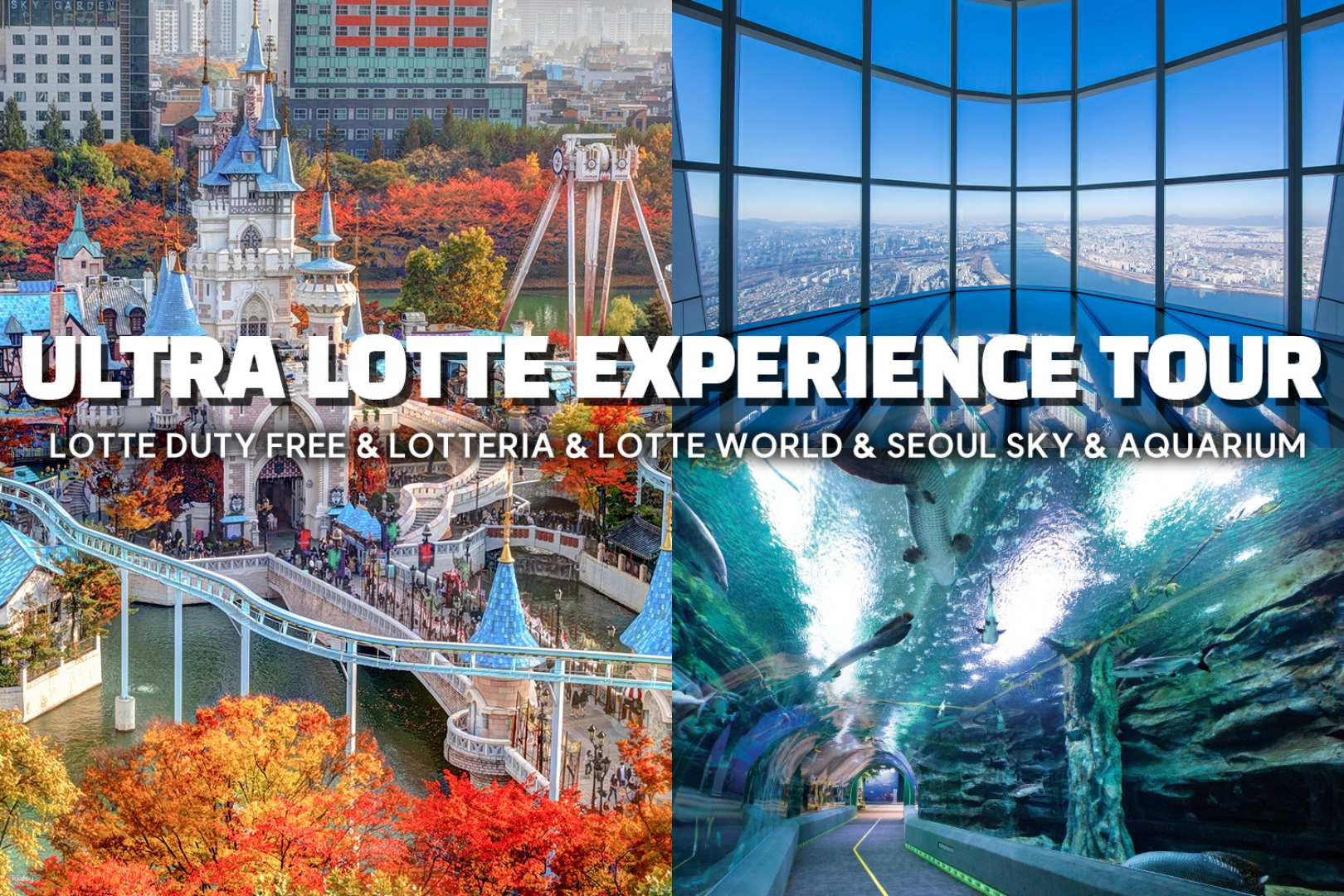 ULTRA LOTTE TOUR (Lotte Duty Free, Lotte World, Seoul Sky, Aquarium) in ...