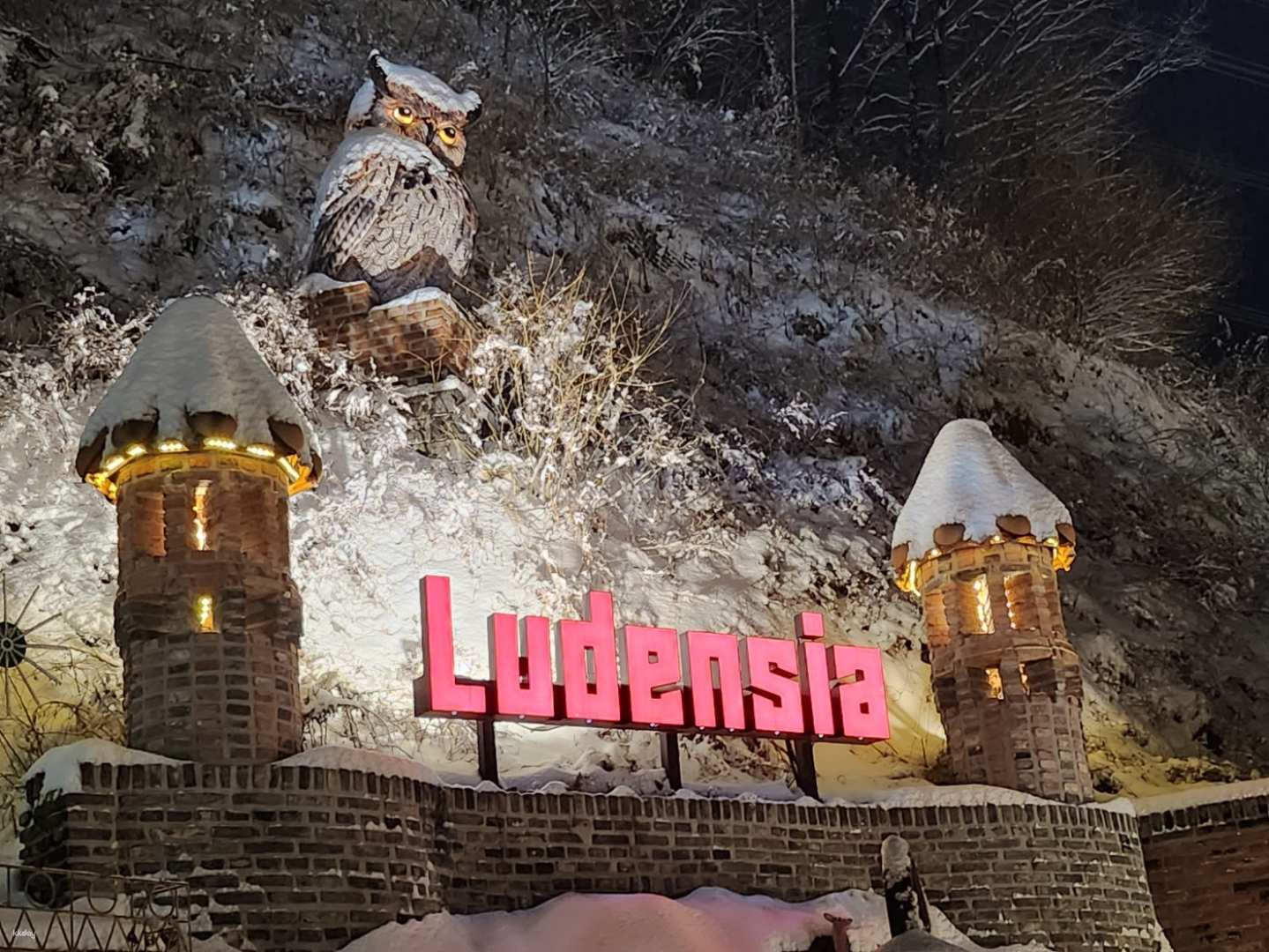 Yeoju Ludensia Admission Ticket | South Korea in Seoul | Pelago