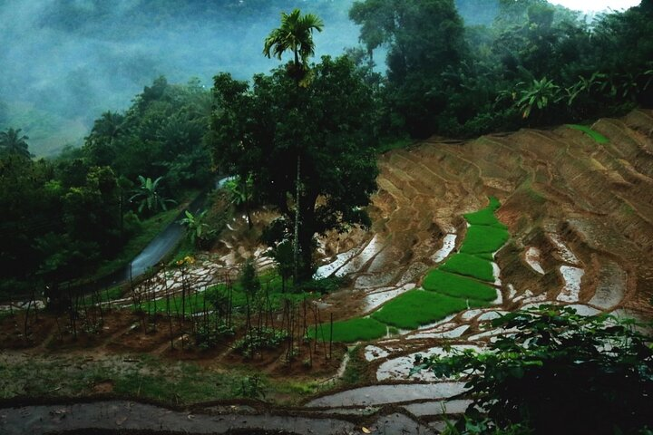 Heeloya Village Guided Hike via Rangala in Kandy | Pelago