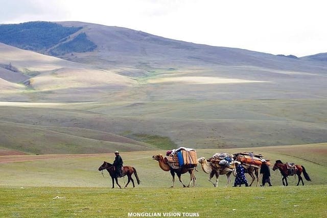 2 Days Przewalski's horses (takhi) and Genuine Nomadic Heritage in ...