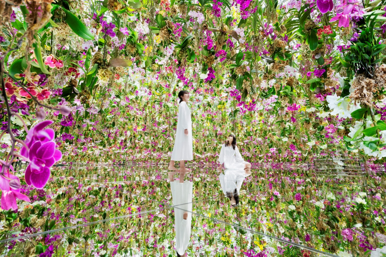 teamLab SuperNature Macao 3D Exhibition Tickets in Macau | Pelago